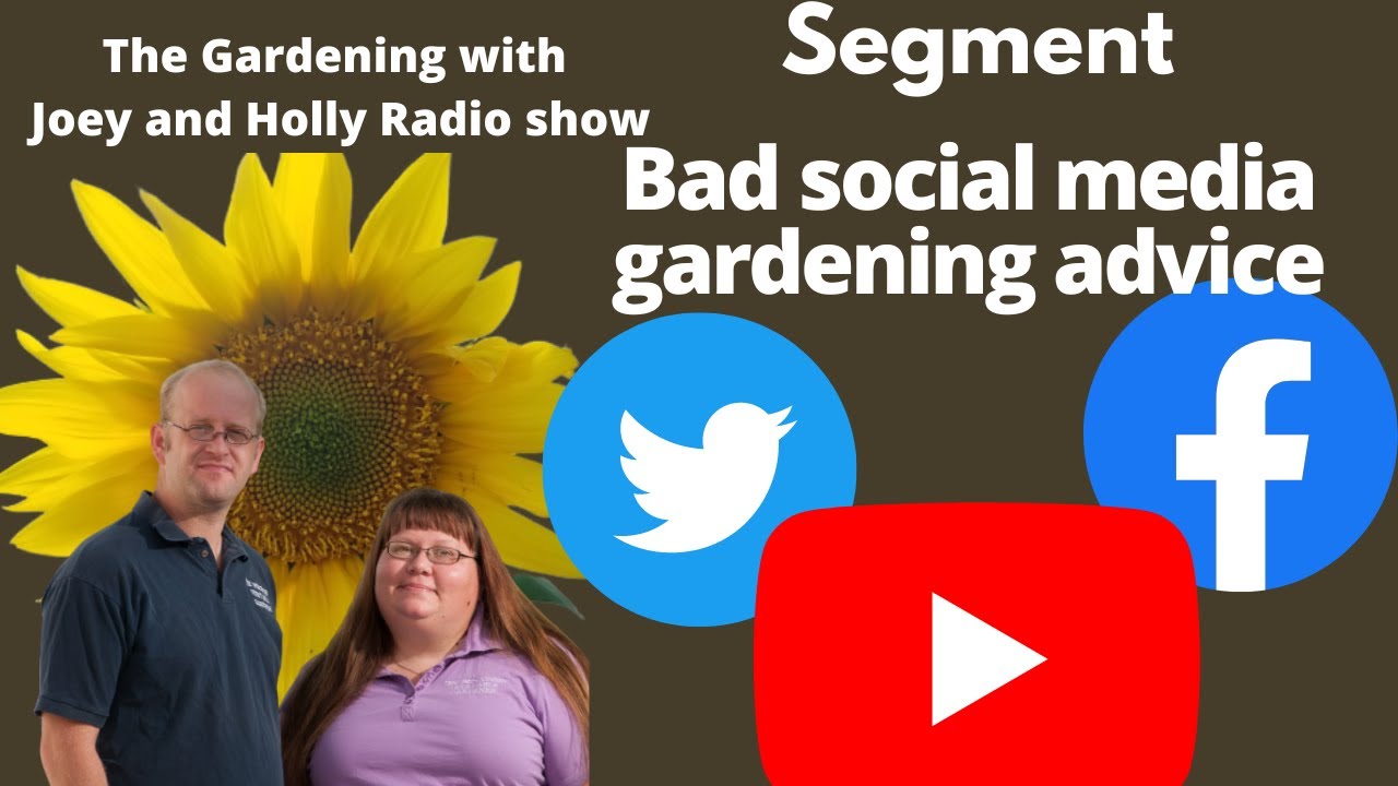 Seg 2 of S7E4 Bad internet garden tips corrected - The Gardenig with ...