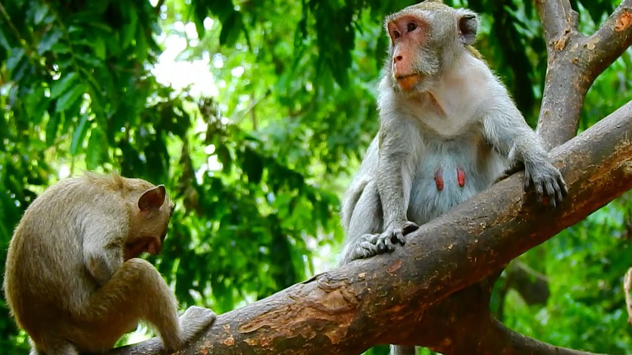 too hard to forgot a milk for Jonna and to hard for Jane to stop her to ...