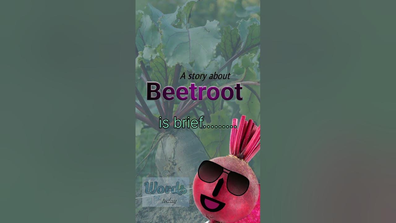 රතු අල ගැන කතාවක් A Story About Beetroot Words For Today 😔 Youtube