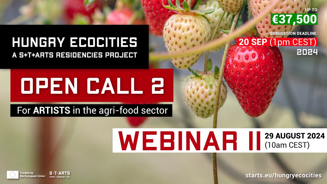 HUNGRY ECOCITIES Open Call 2 (Phase 2) Webinar 2 (August 29, 2024 ...