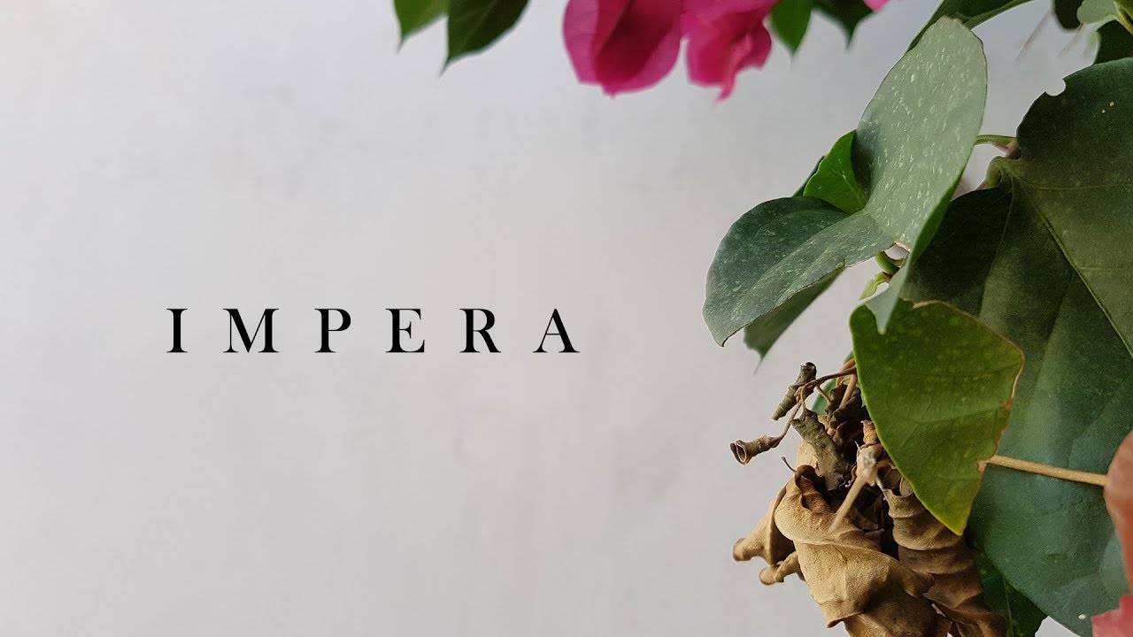 Impera [ Lyric Vídeo ] - Nascidos da Cruz - YouTube