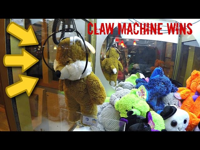 Animal Claw Machine The Wolf Claw | Animal Jam Classic Wiki | Fandom