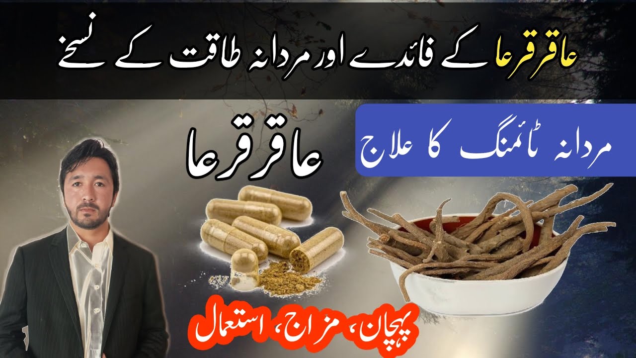 Akarkara ke fayde | Pillitory Root | Akarkara Benefits | Aqar qarha ke ...