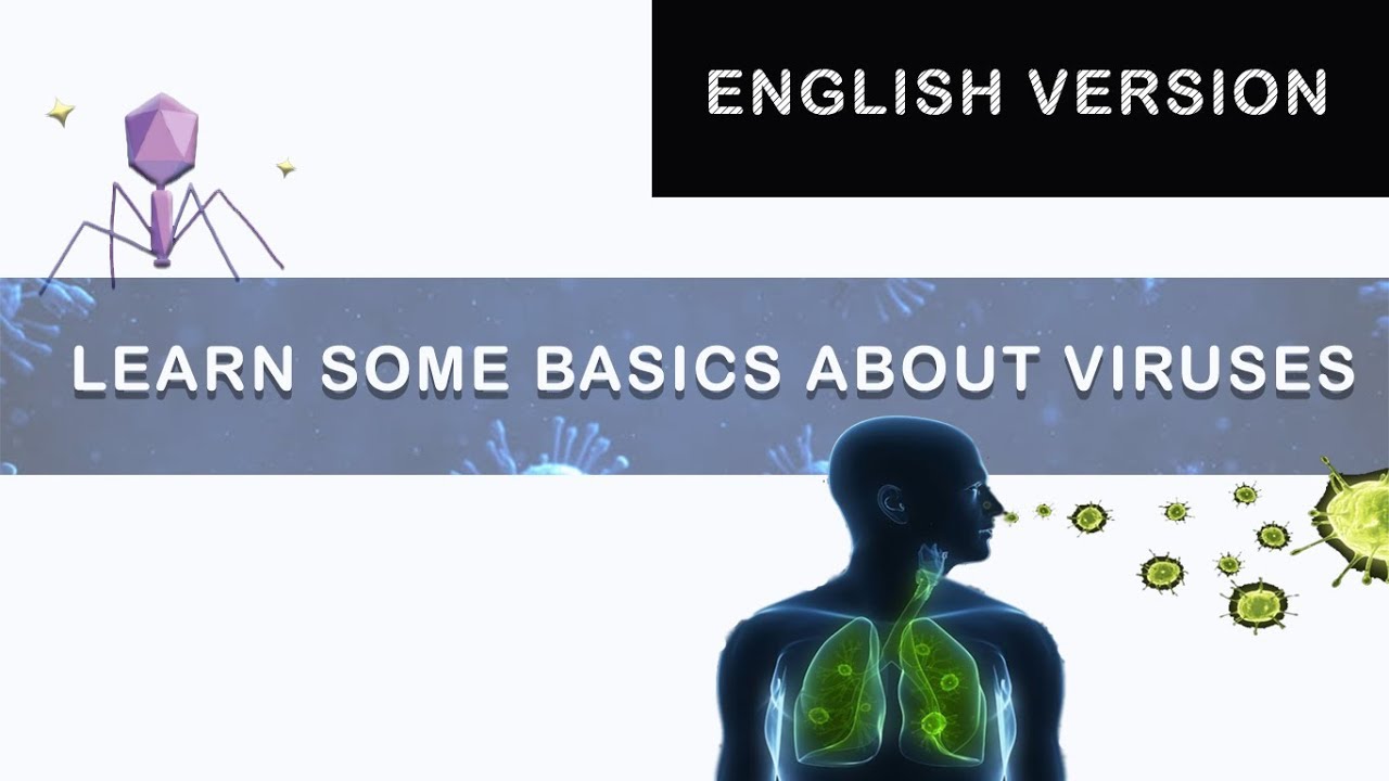 Introduction to Viruses (English Version) - YouTube