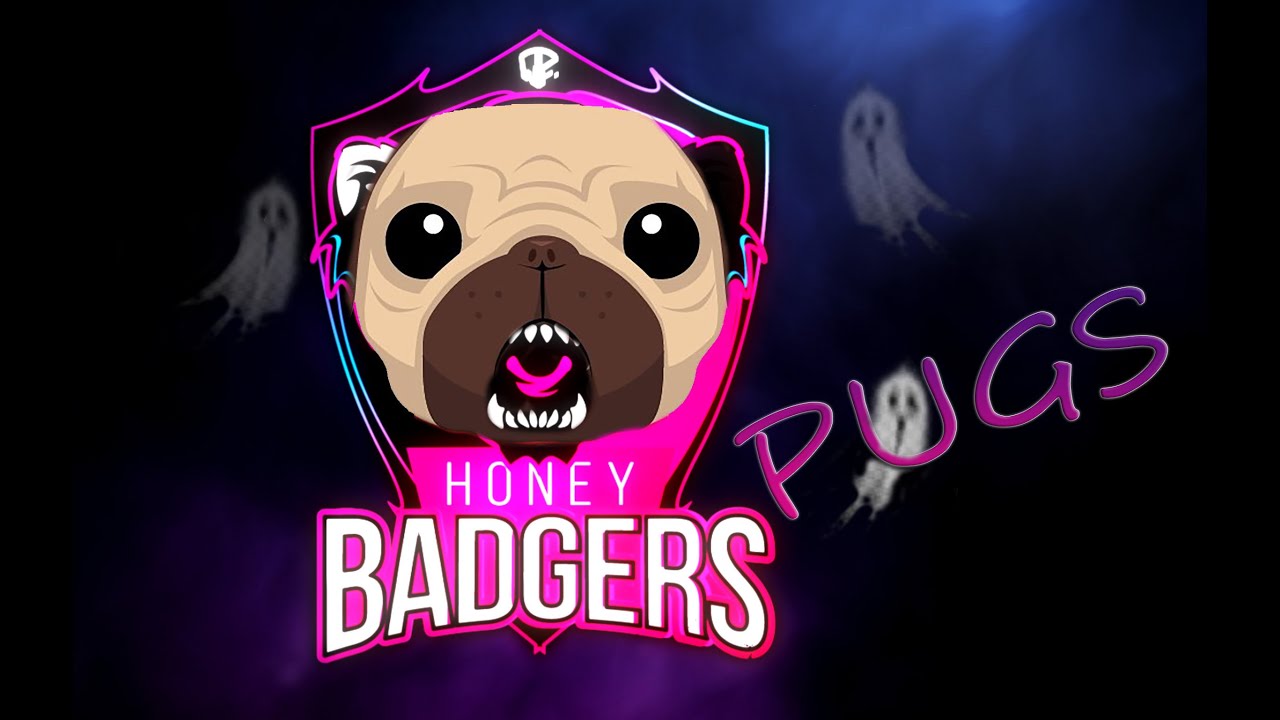 WTF - Pugs (the cursed one) - YouTube