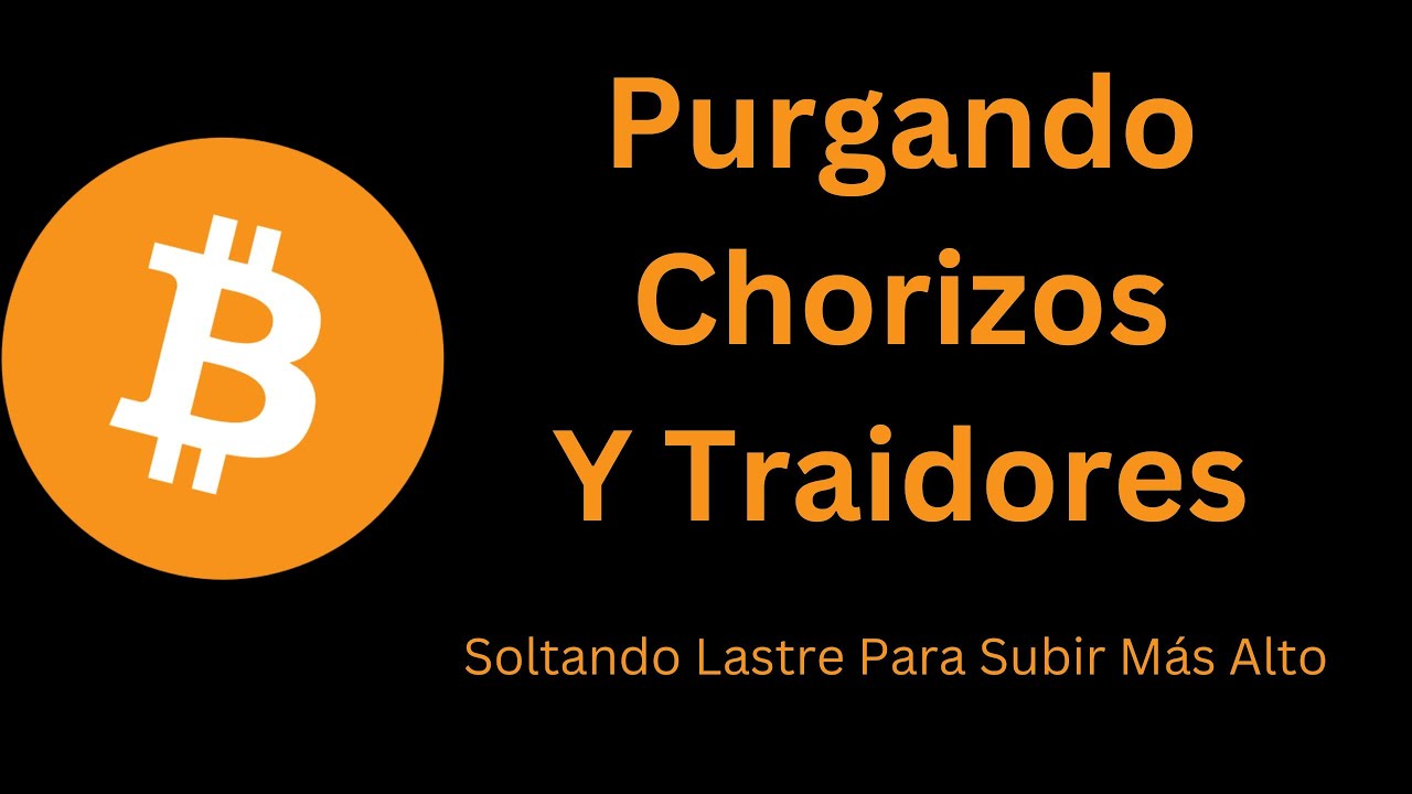 BITCOIN VS SHITCOINS || BENEFICIO VS RIESGO - YouTube