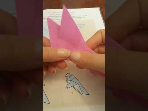 2ci sinif texnologiya tutuquşu fiquru