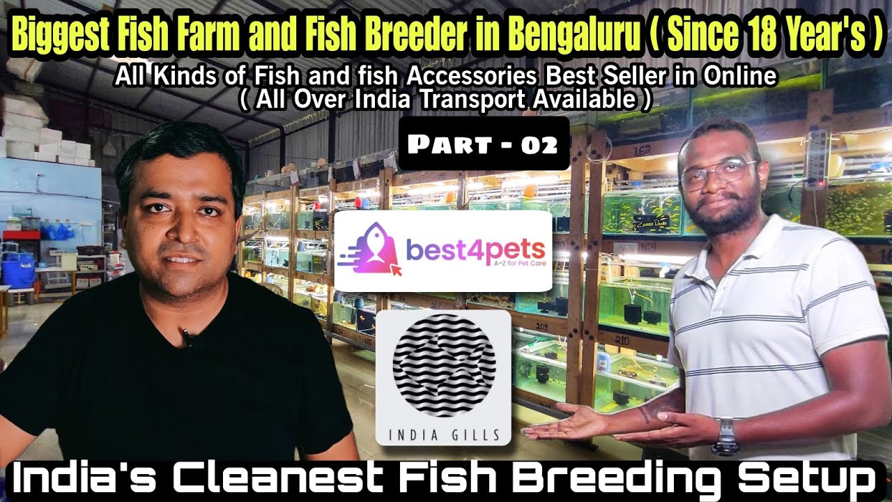 India's Most Cleanest Fish Breeding Facility | Biggest Fish Farm ...