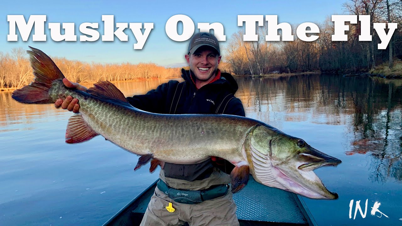 GIANT Musky On The Fly! - YouTube