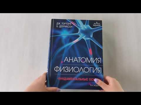 Анатомия. Физиология. Фундаментальные основы. 15-е издание - YouTube