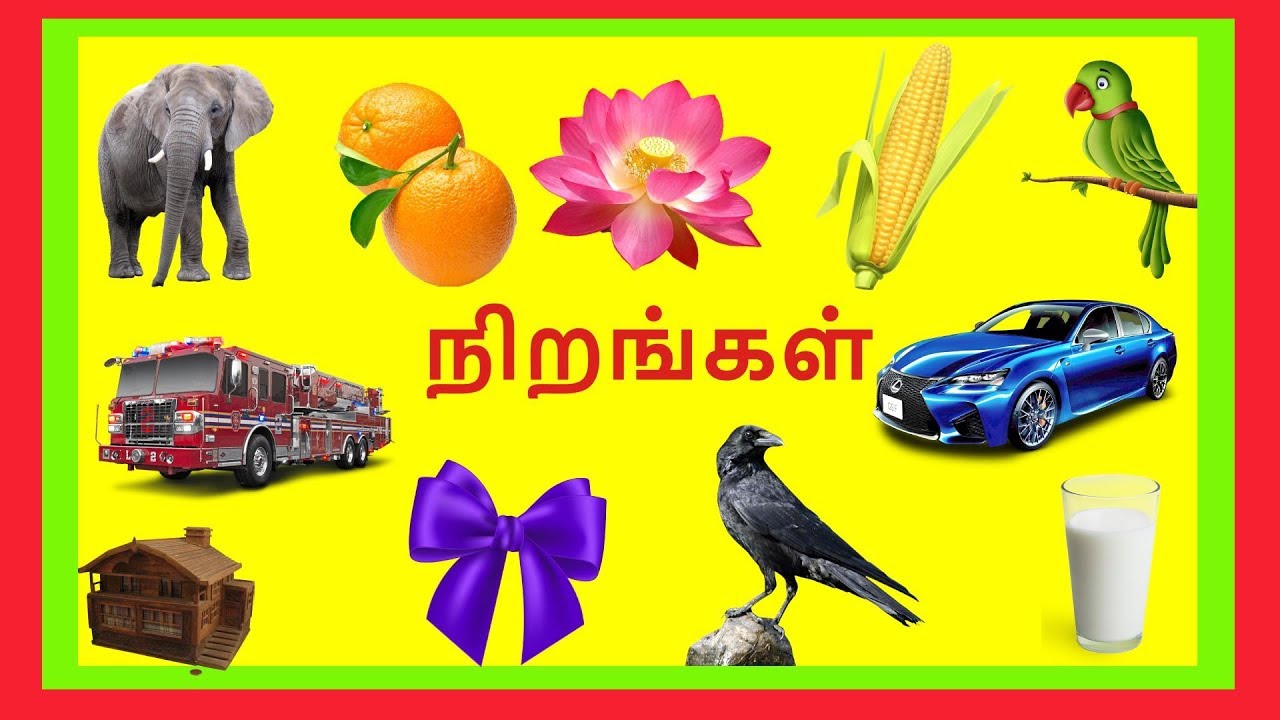 நிறங்கள் அல்லது வண்ணங்களின் பெயர்கள்| Learn colours in Tamil for Kids ...