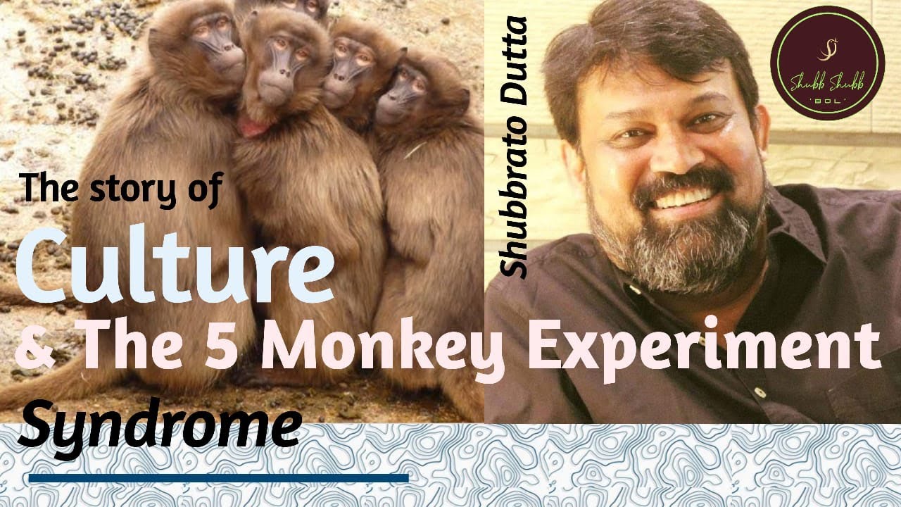 Organizational Culture and the "5 Monkeys Experiment" Syndrome - YouTube