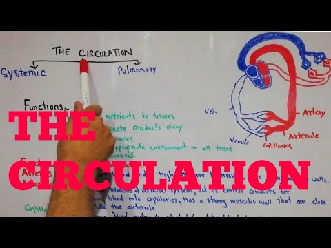 CVS physiology 53. The circulation, functions of circulation ...