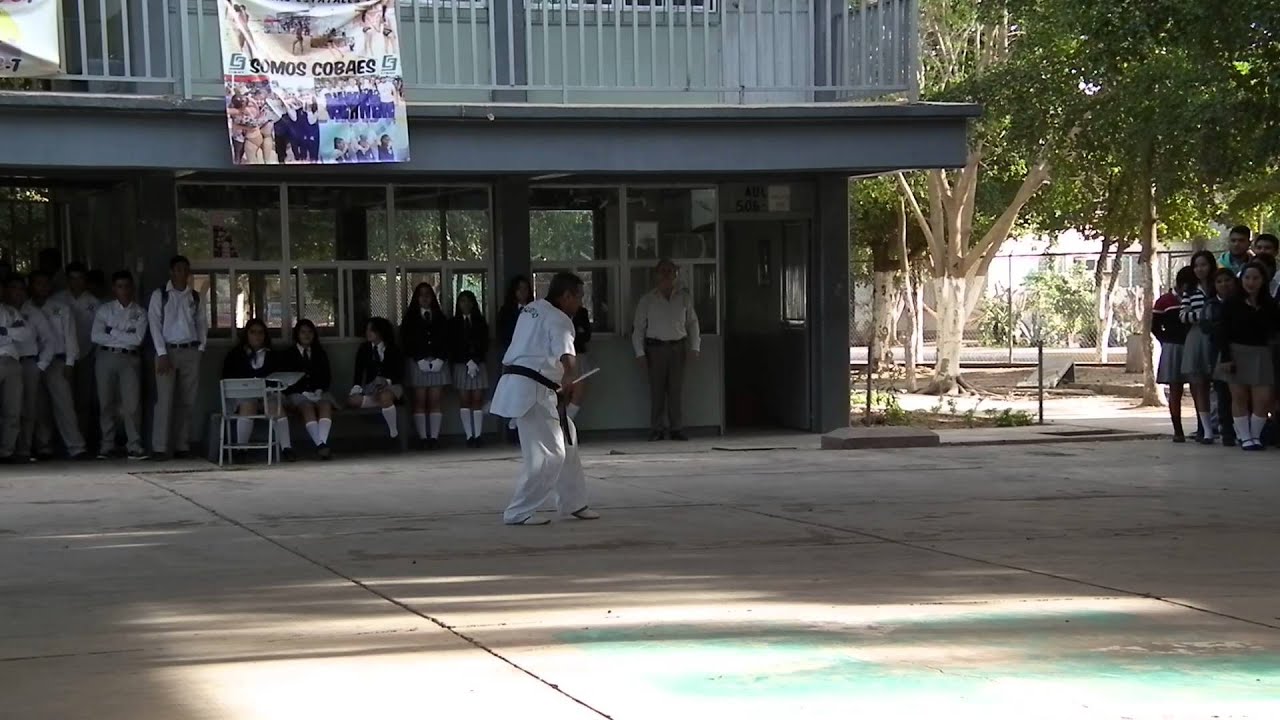 Exhibición de Karate en Cobaes 55 - YouTube