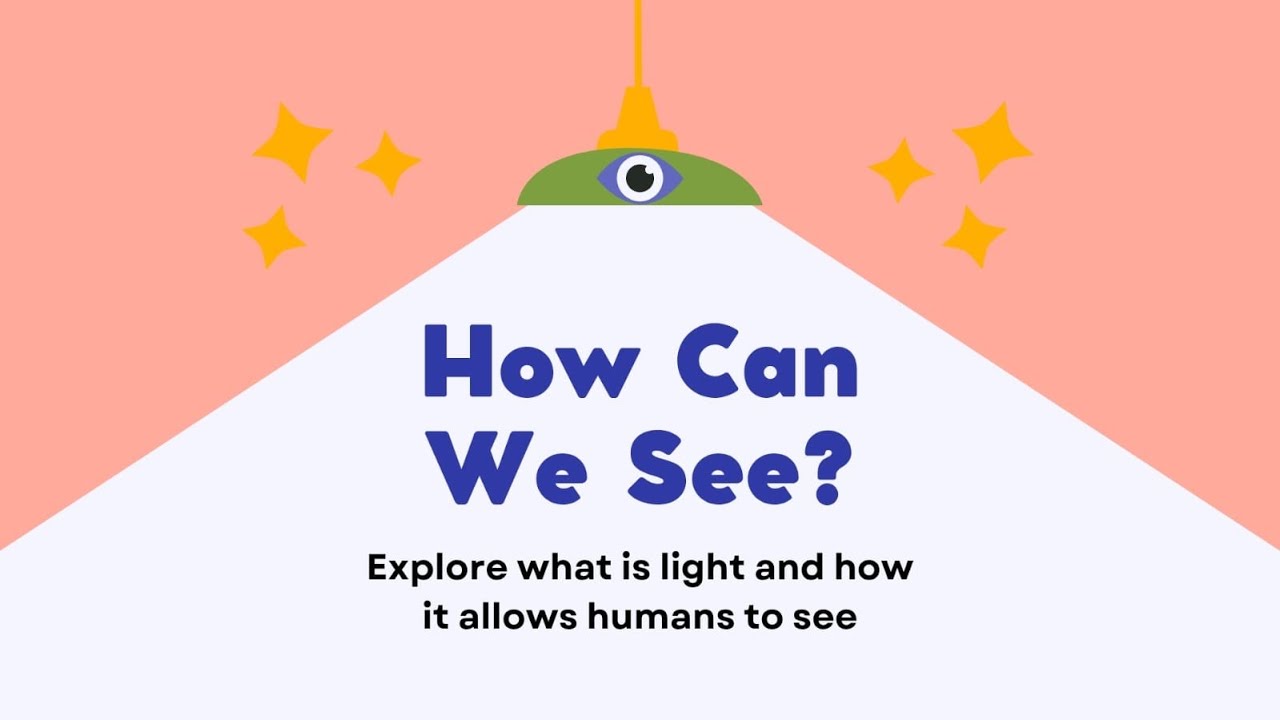 How can we see ? | Explore what is light and how it allows humans to ...