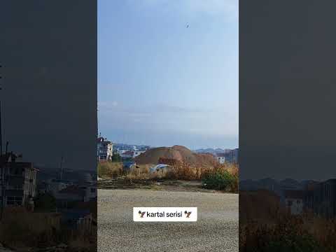 🦅🦅KARTAL SERİSİ 🦅🦅