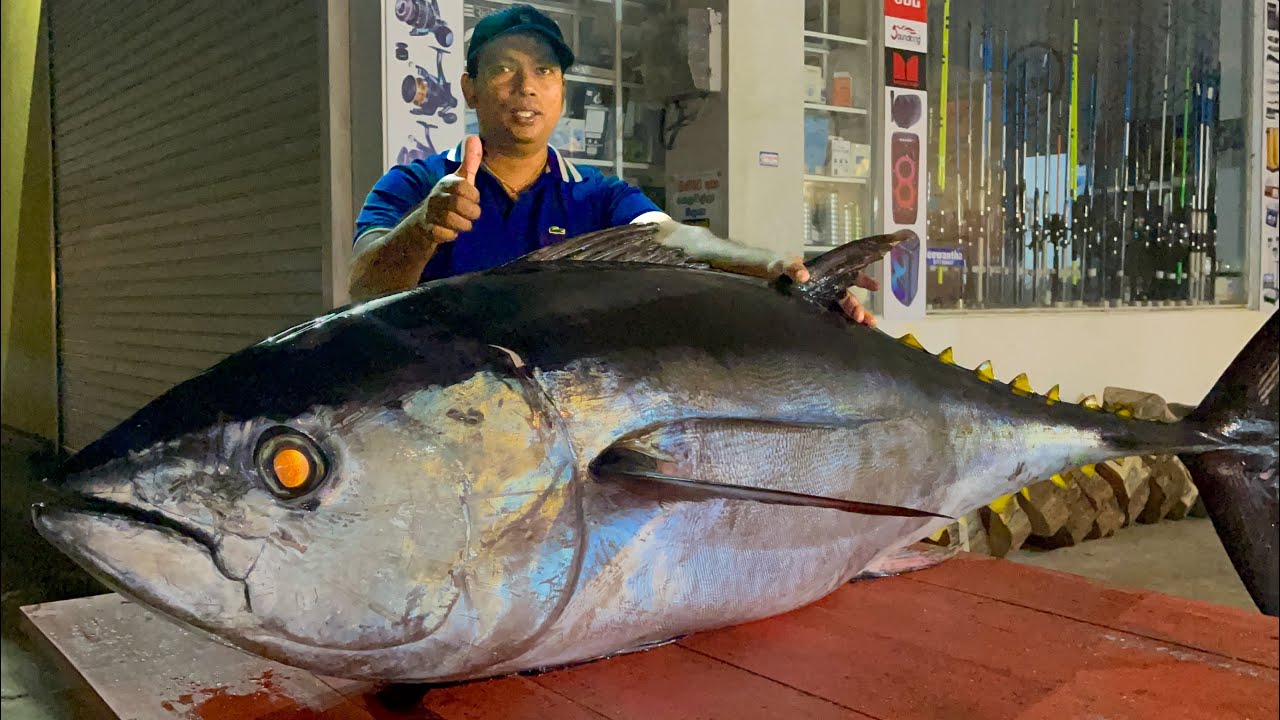 Wow Amazing!! 150 Kg Big Tuna Fish Market And Cutting Skills In Sri ...