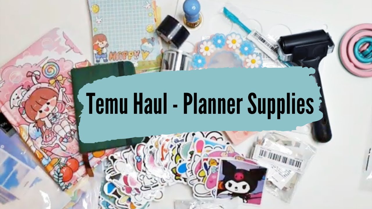 Temu Haul - Planner haul and art journalling supplies - August 2023 ...