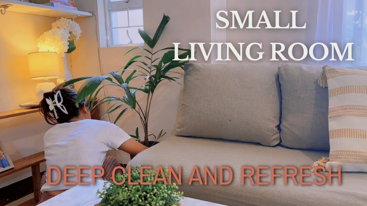 HOME IMPROVEMENT: COZY LIVING ROOM | WIPE DOWN AND DEEP CLEAN| SOFA ...