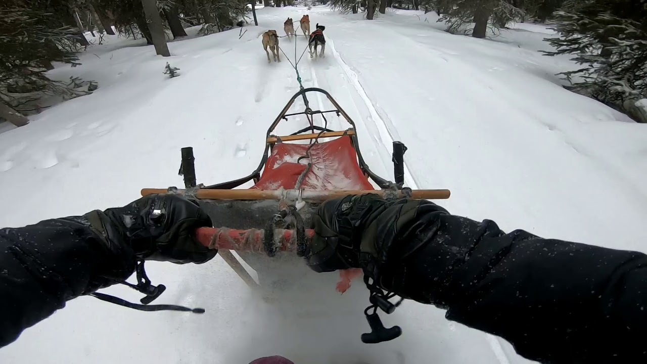 Unedited Clip: First sled run of the 19/20 season! - YouTube