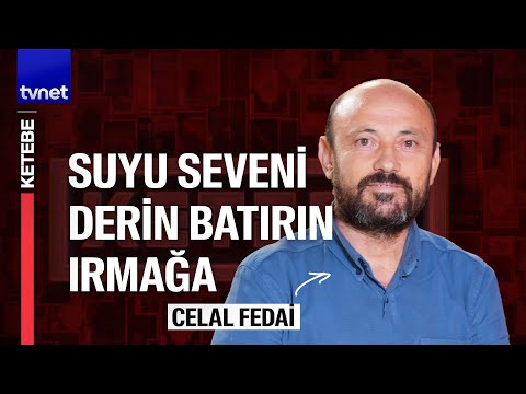Şiirin ve şair kişiliğin geçirdiği değişim nasıl tanımlanabilir? | Celal Fedai | Ketebe