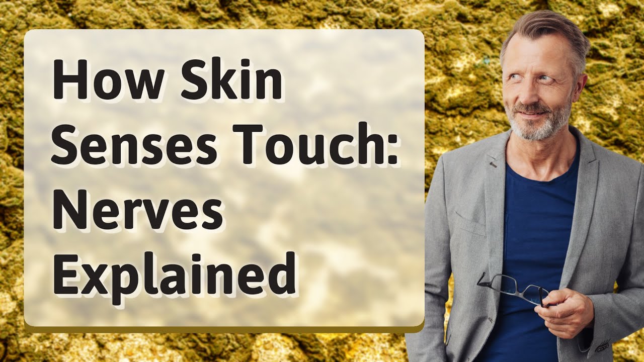 How Skin Senses Touch: Nerves Explained - YouTube