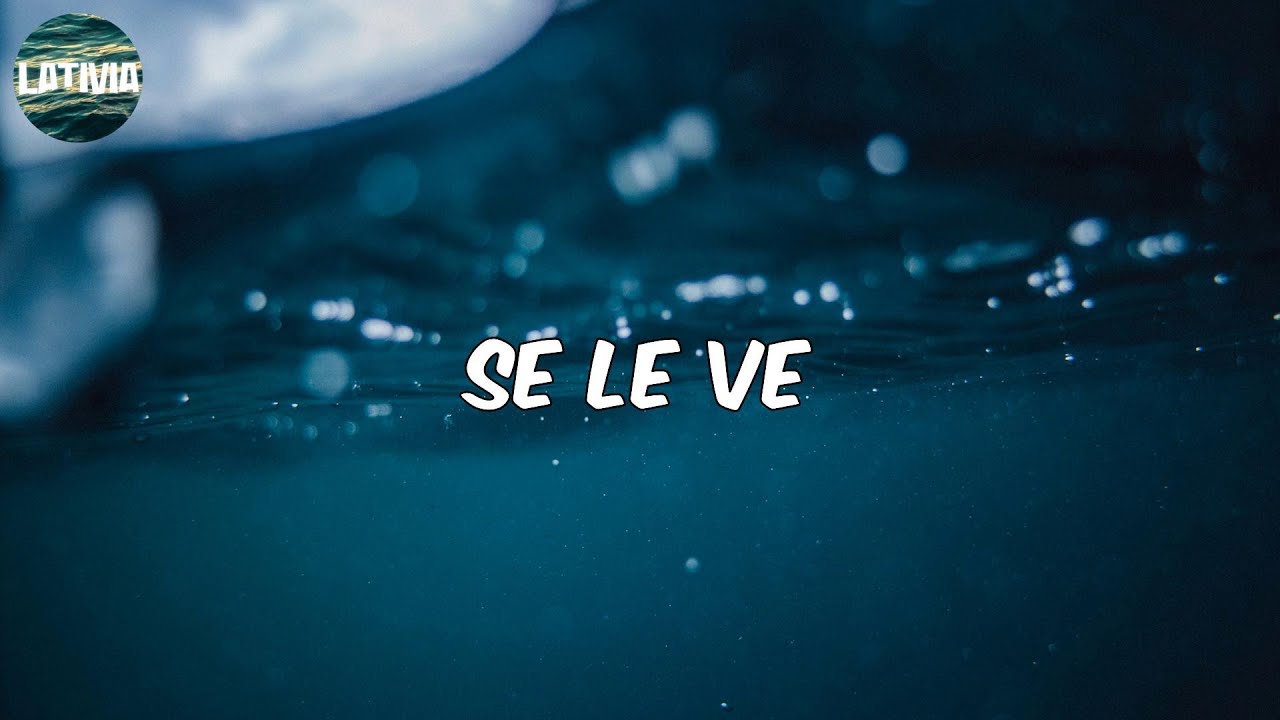 Sech - Se Le Ve (Letra/Lyrics) - YouTube