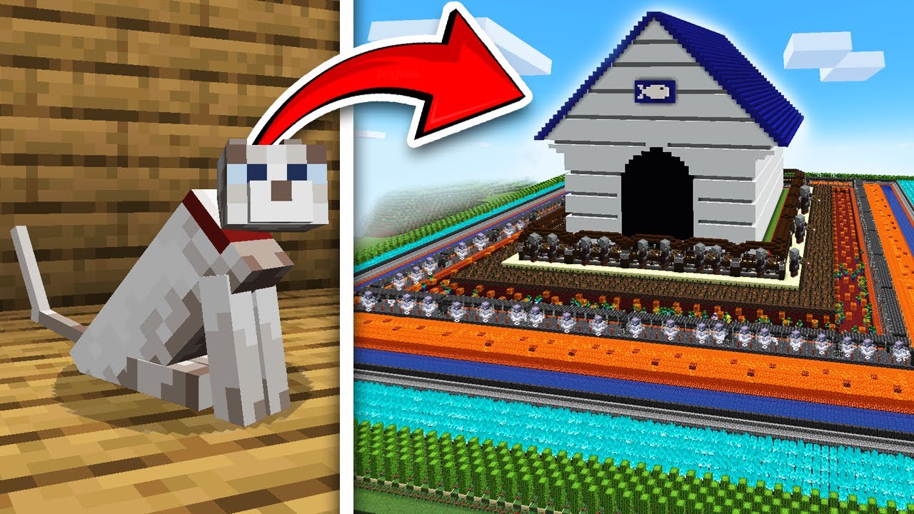 I Built Minecraft’s SAFEST Cat House! - YouTube