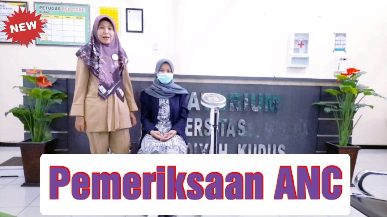 Pemeriksaan ANTE NATAL CARE (ANC) - YouTube