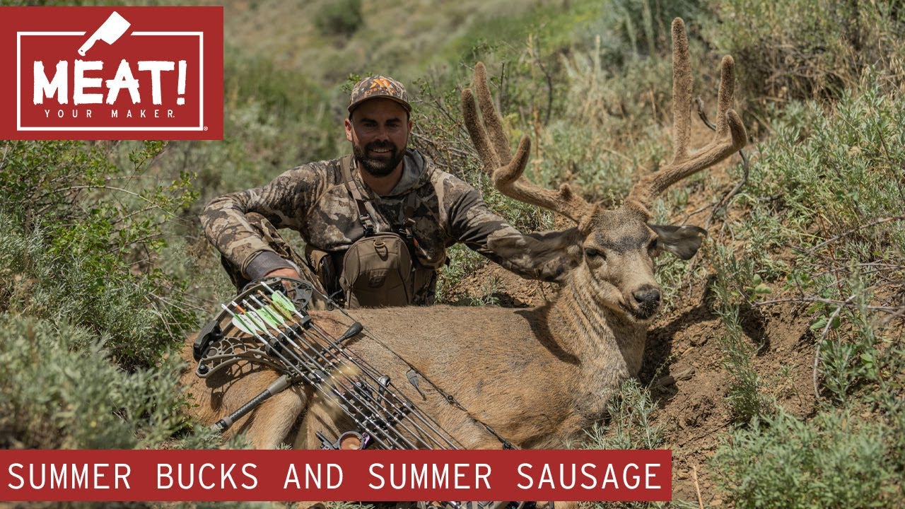 Remi Warren / Summer Bucks and Summer Sausage (UNBELIEVABLE SHOT) - YouTube