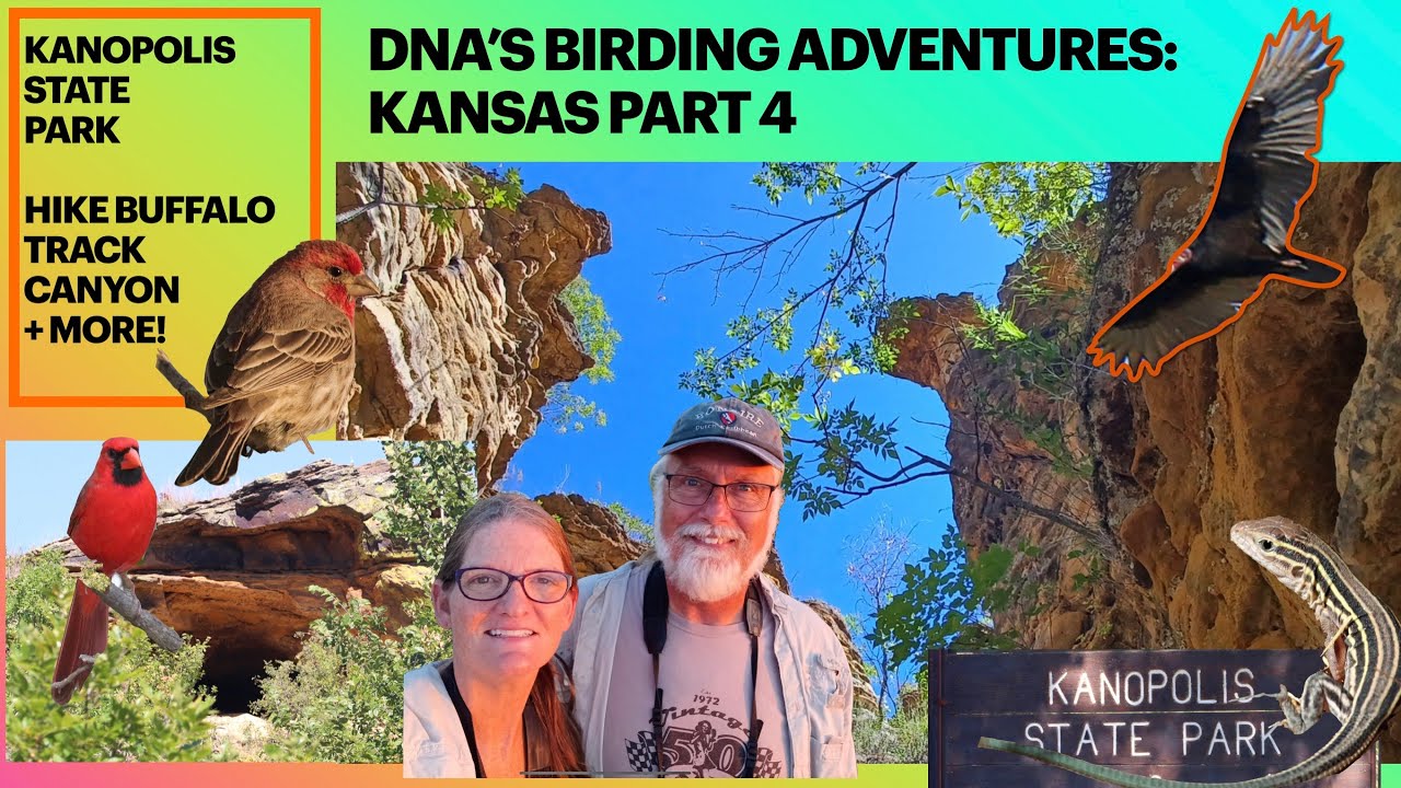 Kanopolis State Park Birding & Trails are ️Beautiful w/ Buffalo Track ...