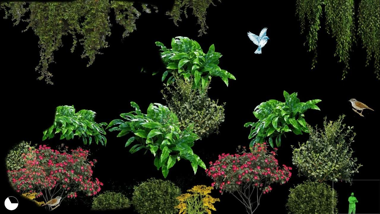 Image Reveal Interactive - TouchDesigner & Kinect V2 - YouTube