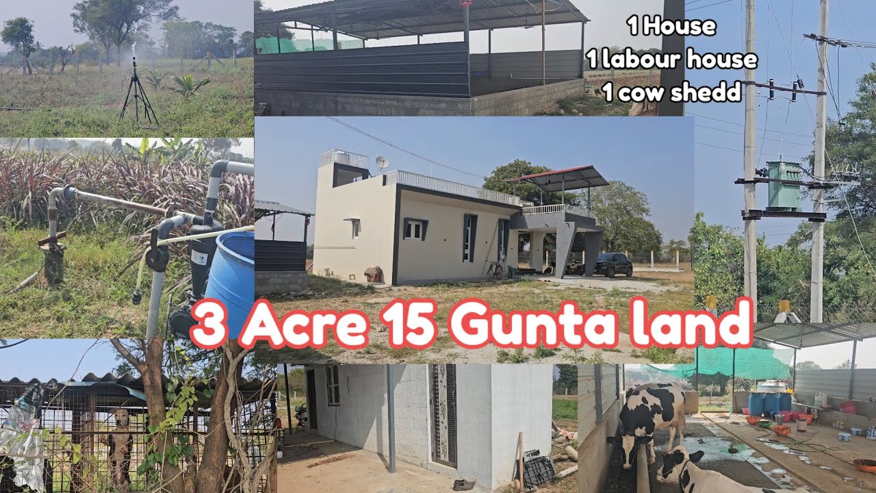 3 acre 15 Gunta land with 2 bhk farm house Bore fence cow shedd labour ...