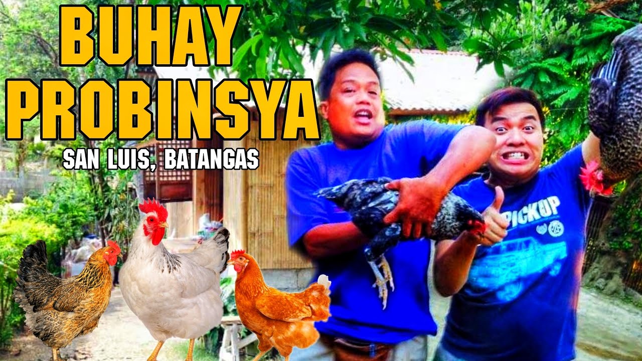 #SONNIETV: BUHAY PROBINSYA |PROVINCE LIFE | BATANGAS PHILIPPINES - YouTube