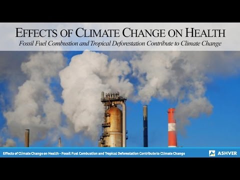 How Do Fossil Fuels And Deforestation Affect Climate Change