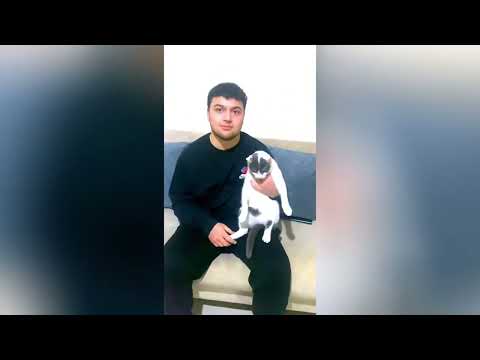 KISKANÇLIK ÜST SAFADA🤣