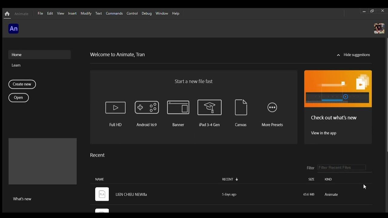 Adobe Animate_ Intro logo Danang - YouTube