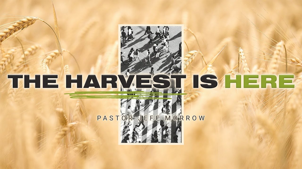 The Harvest Is Here - YouTube