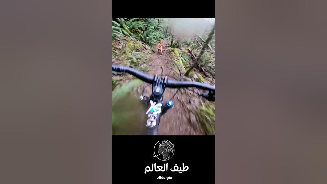 رياضة خفيفة بالغابة مع كلبه طيف العالم رياضة ملب Shorts Youtube
