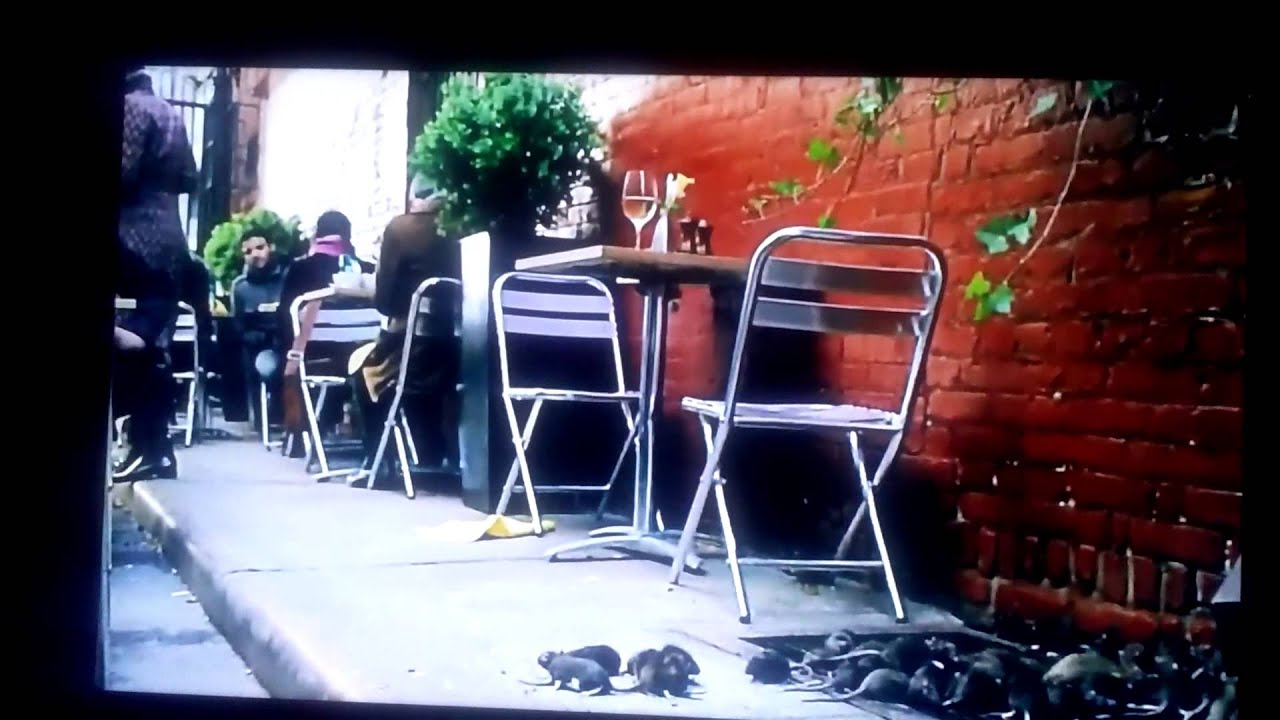 Rat commercial - YouTube