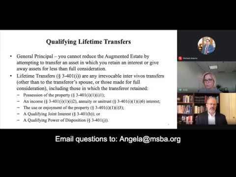 Estate and Gift Tax Study Group - Planning for Potential Litigation ...