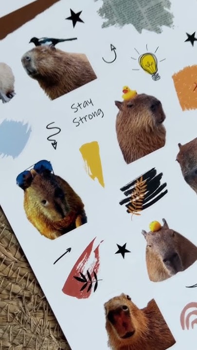 Стикеры с капибарами ️ Noartnomart Stickers капибара стикеры