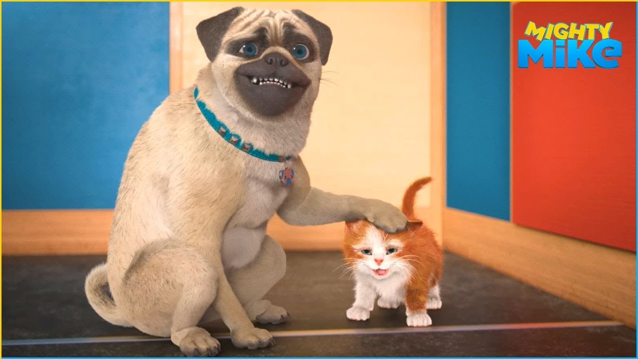 The Guard Dog | Mighty Mike | 60' Compilation | Cartoon for Kids - YouTube