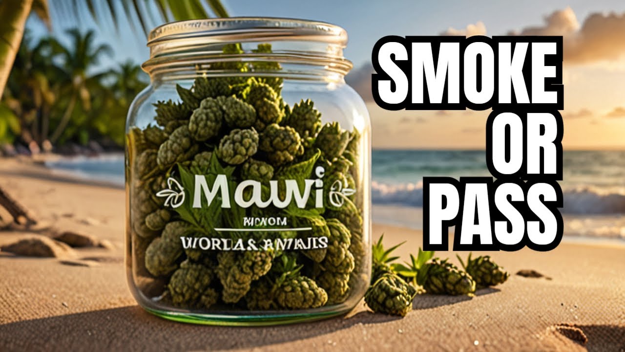MAUI WOWIE STRAIN REVIEW — SMOKE OR PASS? - YouTube