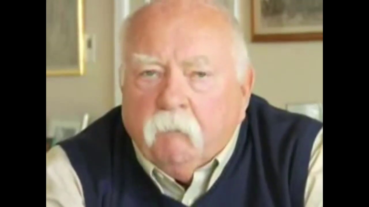 [YTP] - Beetus Bits vol IV - YouTube