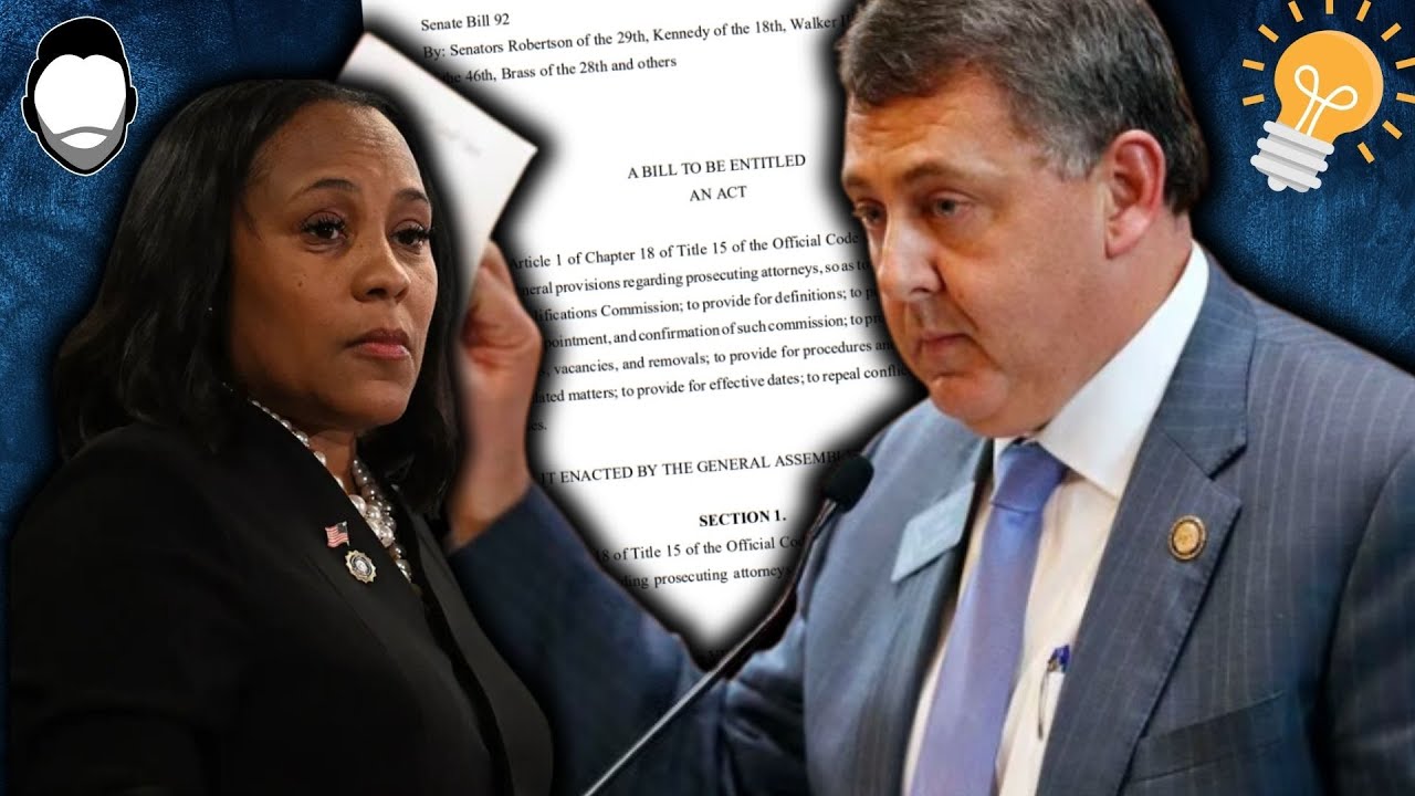 New Fani Removal Plan TRIGGERS Lefty Lawyers - YouTube