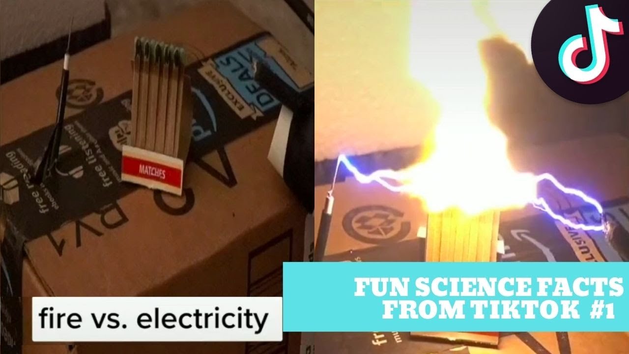 Fun Science Facts from TikTok Compilation #1 | toptoks - YouTube