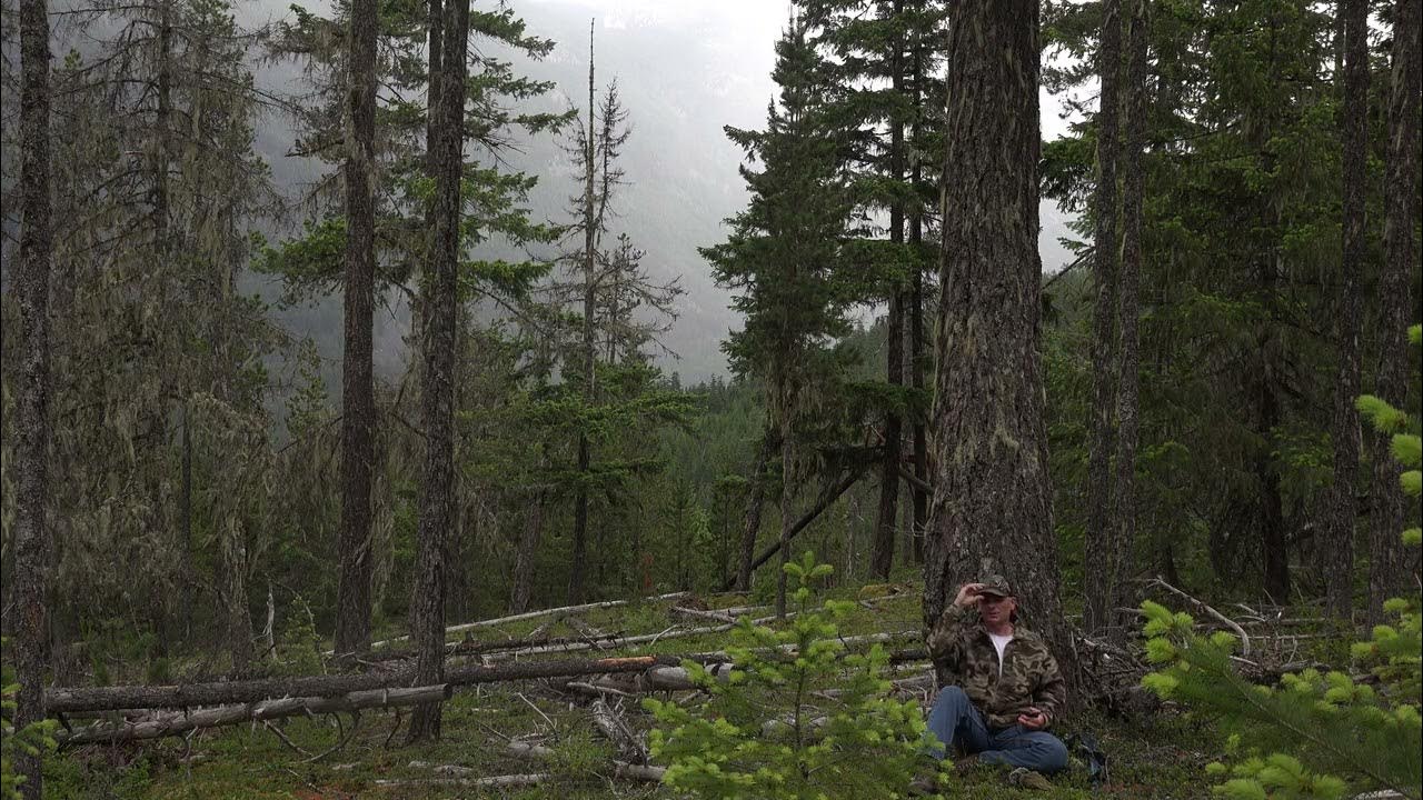CCTV Screen Face Description And A Young Hunter Shoots A Sasquatch In ...