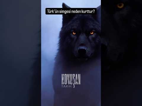 Türk’ün simgesi neden aslan değil de kurt?