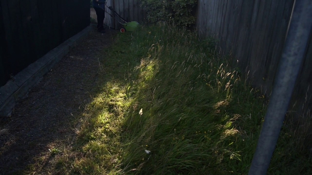 Victa Mustang VC First Mow - YouTube